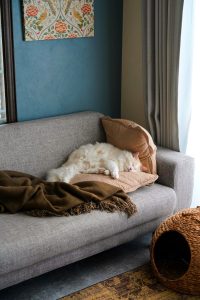 Raif textile